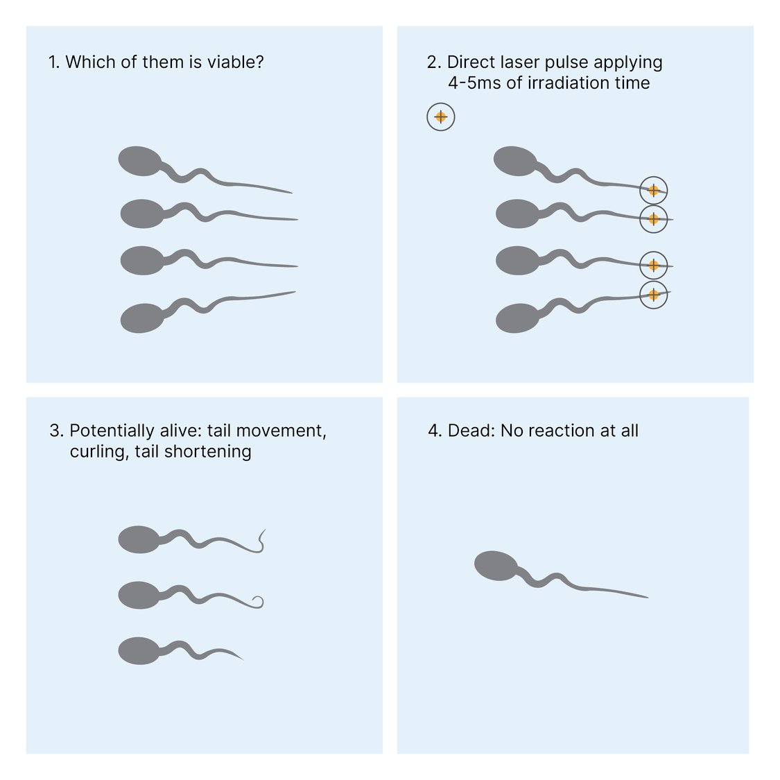 Laser Application Laser Assisted Sperm Viability Testing